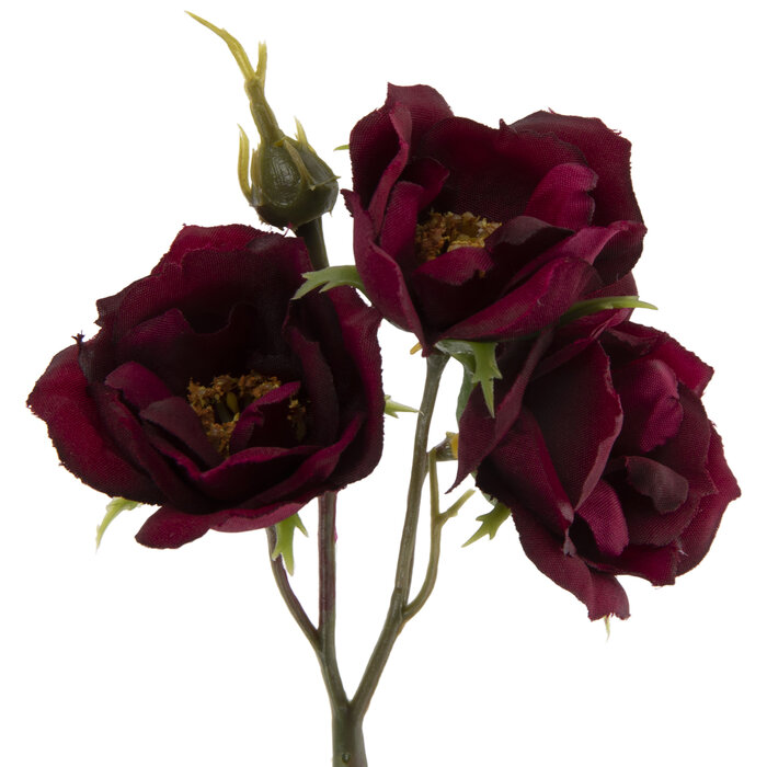 Burgundy Rose Pick | Hobby Lobby | 2252948