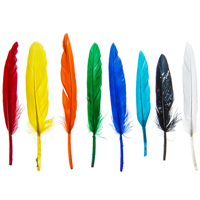Mini Feathers | Hobby Lobby | 882316